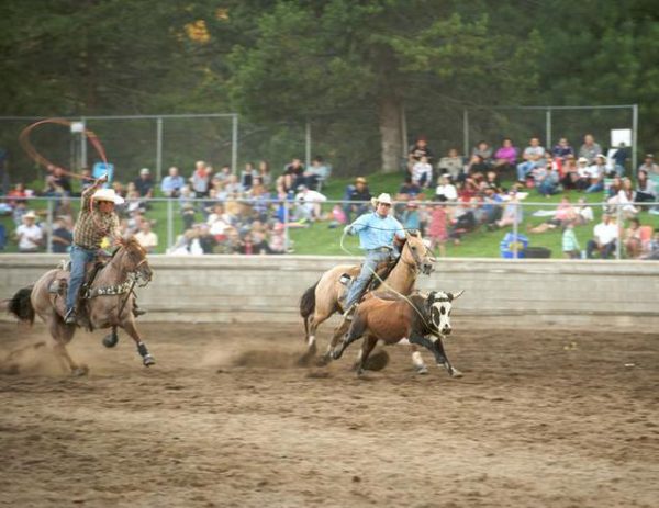 Photography - Truckee Pro Rodeo