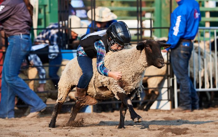 Home - Truckee Pro Rodeo